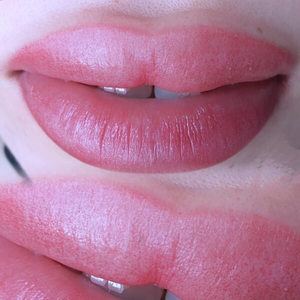 PMU lips - Palette Beauty Studio